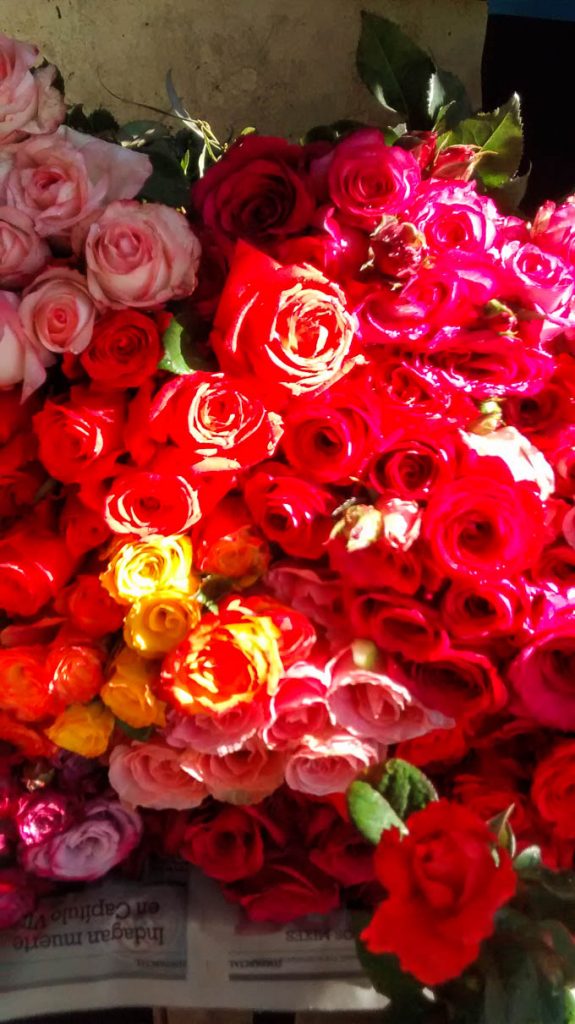 Two days in Oaxaca, Mexico - The Passionate Vegan